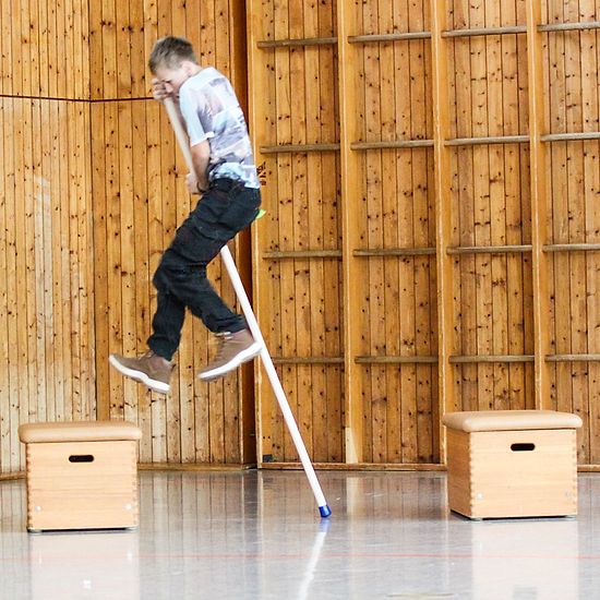 Sport-Thieme Houten Springstok kopen bij Sport-Thieme.nl